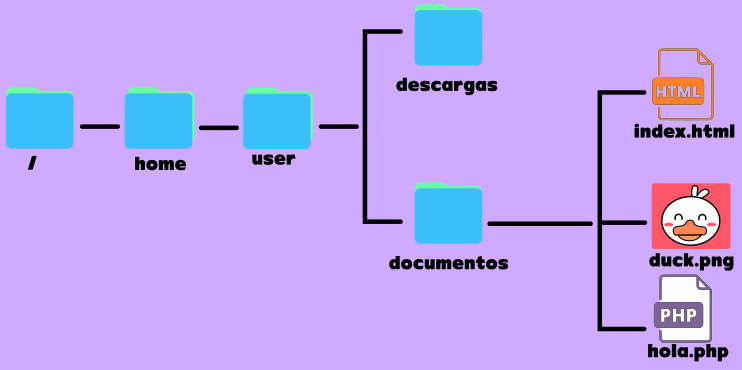 Rutas, directorios y archivos en html | Ney