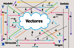 Física I - Concepto de vector y tipos de vectores | Ney