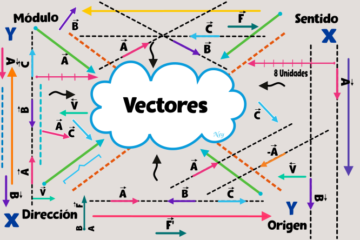 Etiqueta: Vectores colineales características | Ney